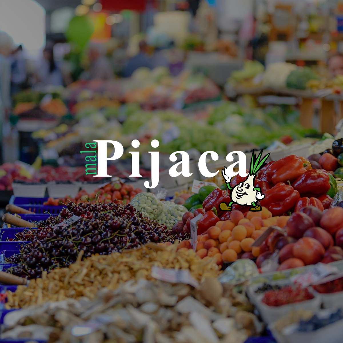 Kontakt - Mala Pijaca